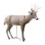 Primos Scar Deer Decoy