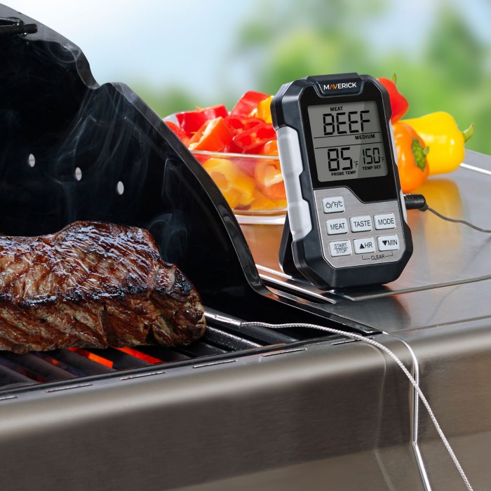 Maverick Housewares Digital Single Probe Roast Thermometer