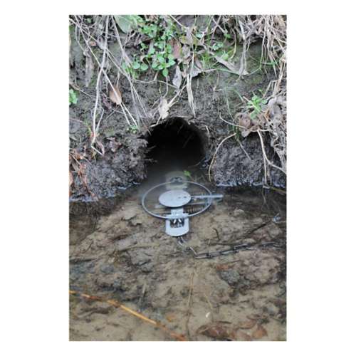 Duke Coil Spring Traps | SCHEELS.com