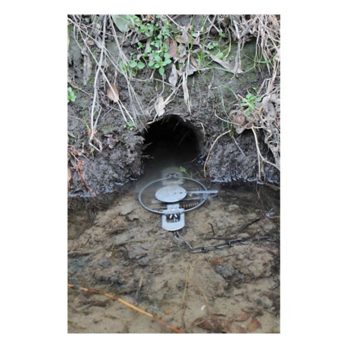 Duke Coil Spring Traps