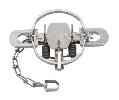 Duke Traps Offset Jaw Coil Spring Traps | SCHEELS.com