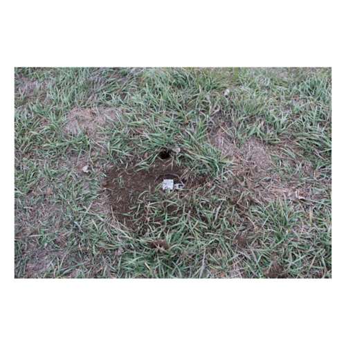 Duke Traps Pro Series 650 OS | SCHEELS.com