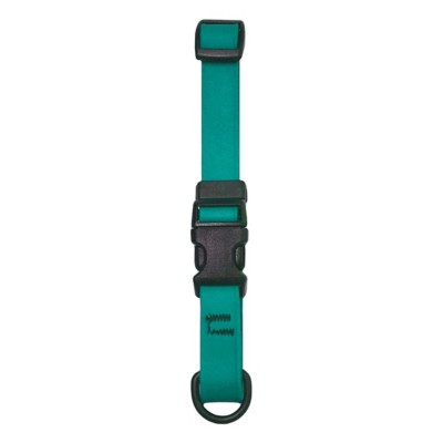 Scott Pet SmartLife Dog Collar | SCHEELS.com