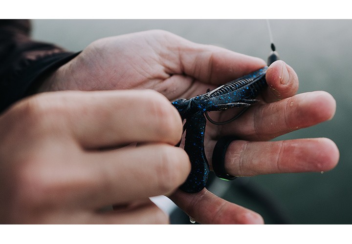 Rapala Crush City Bronco Bug 6 Pack | SCHEELS.com