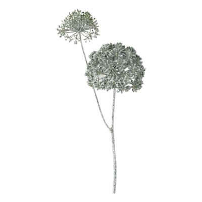 Sullivans Dark Green Eucalyptus Seed | SCHEELS.com