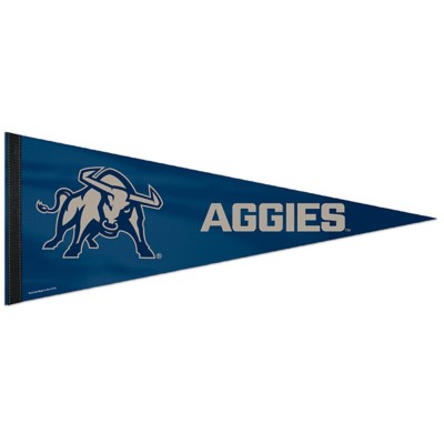 Wincraft Utah State Aggies 12"x30" Premium Pennant