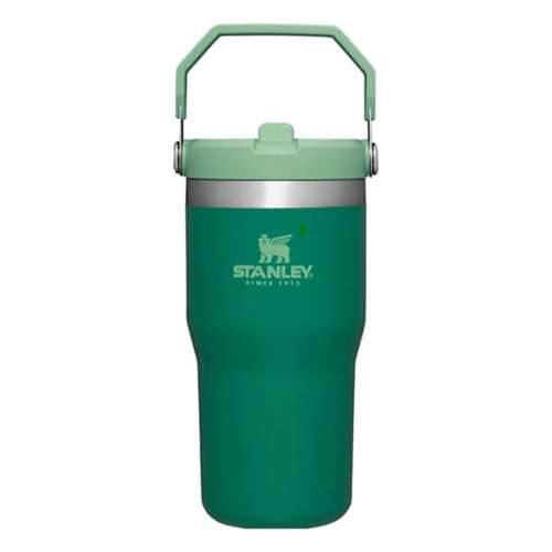 Stanley IceFlow 20 oz Flip Straw Tumbler | SCHEELS.com