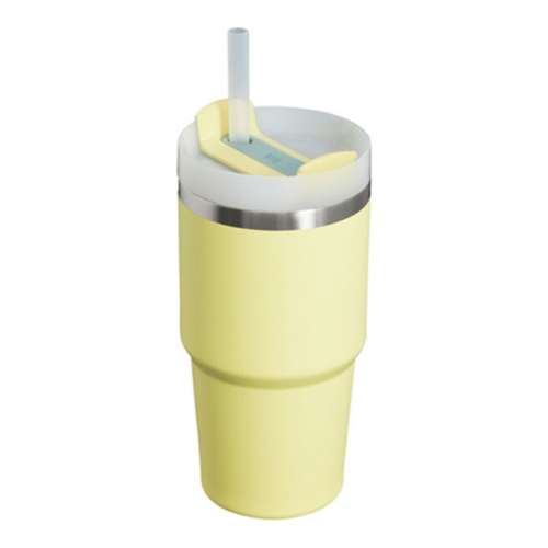 Stanley Adventure Quencher 20 oz Travel Tumbler H2.0 | SCHEELS.com