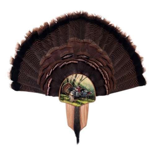 Walnut Hollow Country Spring Strut Turkey Mount Kit | SCHEELS.com