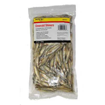 Magic Preserved Bulk Shiner Minnows 16 Oz | SCHEELS.com