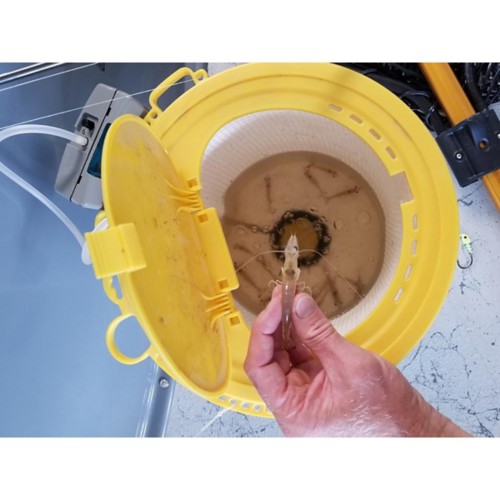 Frabill Insulated Dual Bait Bucket with Clip-On Aerator