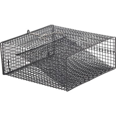 Frabill Flat Bottom Crawfish Trap | SCHEELS.com
