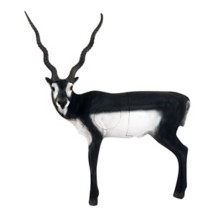 Delta McKenzie Black Buck 3D Archery Target | SCHEELS.com