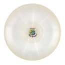 Nite Ize Flashflight LED Dog Discuit Frisbee | SCHEELS.com