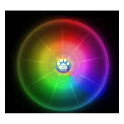 Nite Ize Flashflight LED Dog Discuit Frisbee | SCHEELS.com