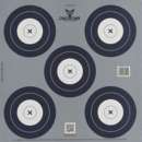 5 Spot Mini Paper Target | SCHEELS.com