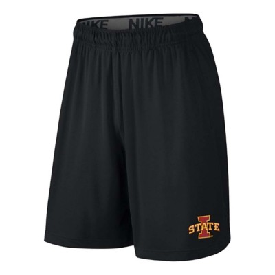 Nike Kids' Iowa State Cyclones Fly 2.0 Shorts