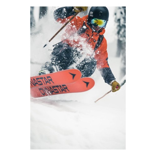 Grass Sticks Original Ski Poles