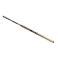 Fishing Rods: Trolling, Spinning & More | SCHEELS.com