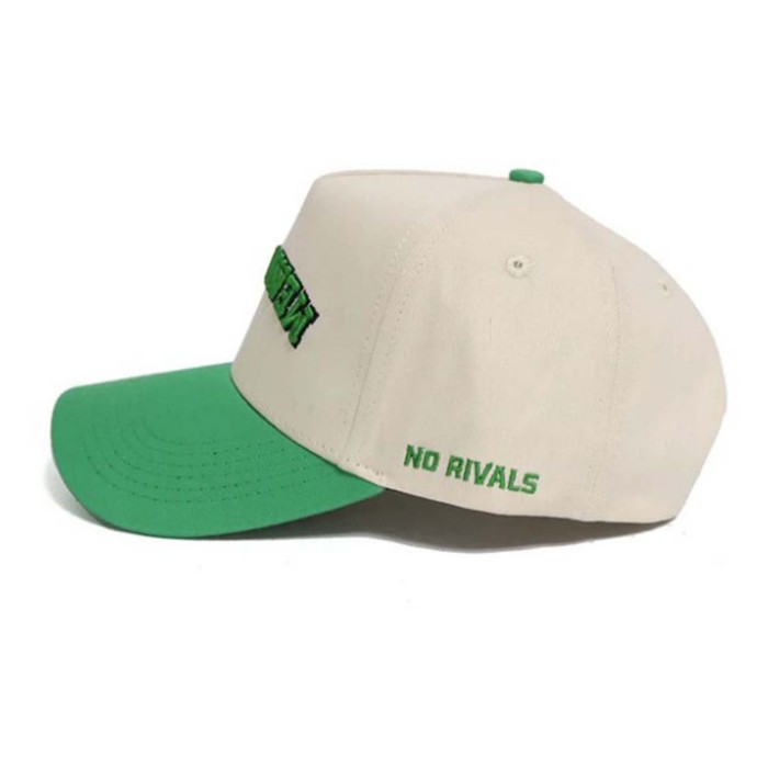 NO RIVALS North Texas Mean Green Upside Down Adjustable Hat