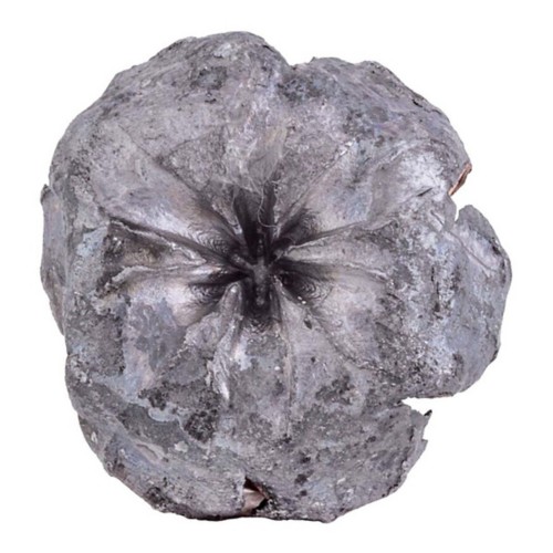 CCI Uppercut JHP 22 Long Rifle Rimfire Ammunition 50 Round Box