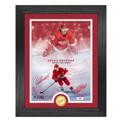 Detroit Red Wings Lucas Raymond Legends Bronze Coin Photo Mint