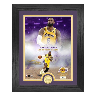 LeBron James Los Angeles Lakers Legends Bronze Coin Photo Mint ...