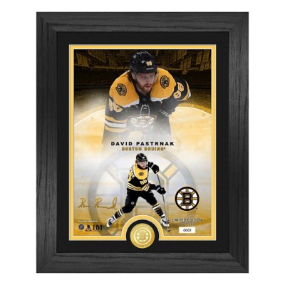 Highland Mint Boston Bruins David Pasternak NHL Legends Bronze Coin ...