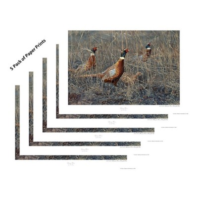 2022-2023 Pheasants Forever Print of the Year - Grassy Haven by Scot ...