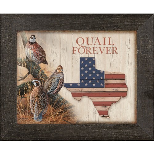 Wild Wings Quail Forever Patriotic State Framed Tin Sign