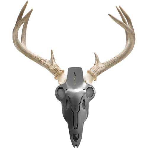 Do-All Iron Buck Antler Mount | SCHEELS.com