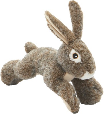 Snugarooz Marty the Moose Dog Toy | SCHEELS.com