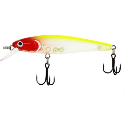 Berkley Jar Bait Folder - 10 Jars | SCHEELS.com
