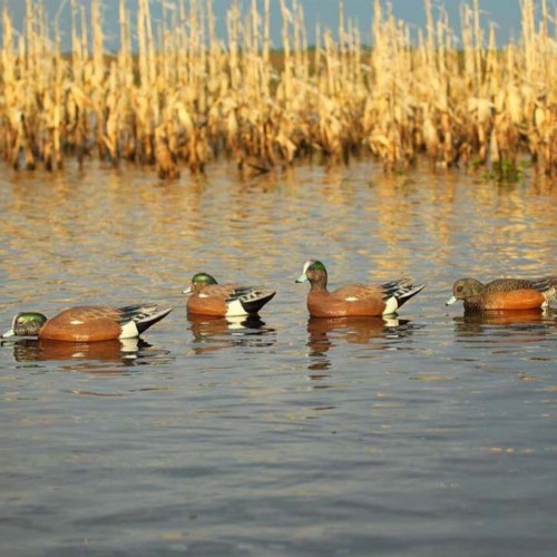 Greenhead Gear Pro Grade Wigeon Duck Floater Decoys 6-Packk