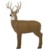Field Logic GlenDel Full Rut 3D Buck Target