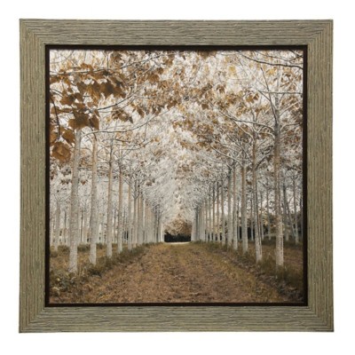 StyleCraft Home Collection Walking Path Framed Print | SCHEELS.com