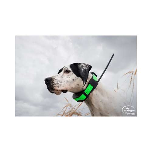 SportDOG TEK Series 1.5 GPS Tracking + E-Collar System - TEK-V1.5LT ... SportDOG TEK Series 1.5 GPS Tracking + E-Collar System - TEK-V1.5LT ...