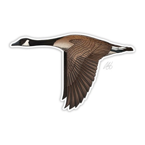 Casey Underwood Artwork Canada Goose Decal