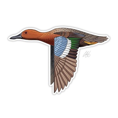Casey Underwood Cinnamon Teal Decal | SCHEELS.com
