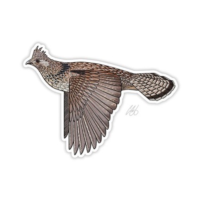 Casey Underwood Artwork Ruffed Grouse Decal Decal