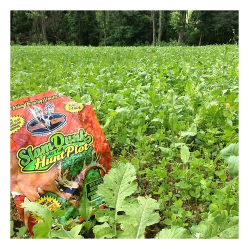 Antler King Slam Dunk Food Plot Seed