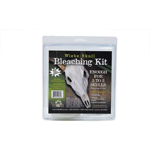DakotaLine Wiebe Skull Bleaching Kit | SCHEELS.com