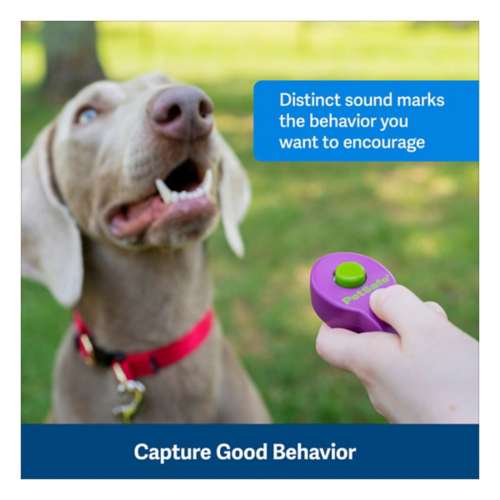 PetSafe Clik-R Dog Training Clicker | SCHEELS.com