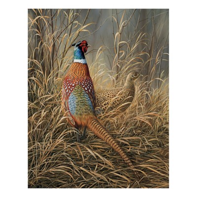 Wild Wings Late Season Solitude- Pheasants by Rosemary Millette Wood ...