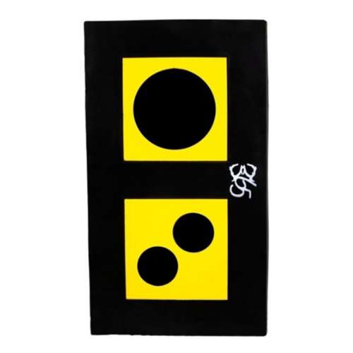 365 Archery HP Dual Archery Target | SCHEELS.com