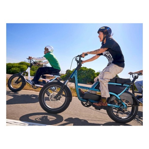 Electra Ponto Go! Electric Bike