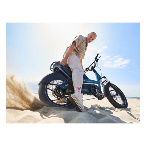Electra Ponto Go! Electric Bike