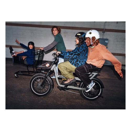 Electra Ponto Go! Electric Bike