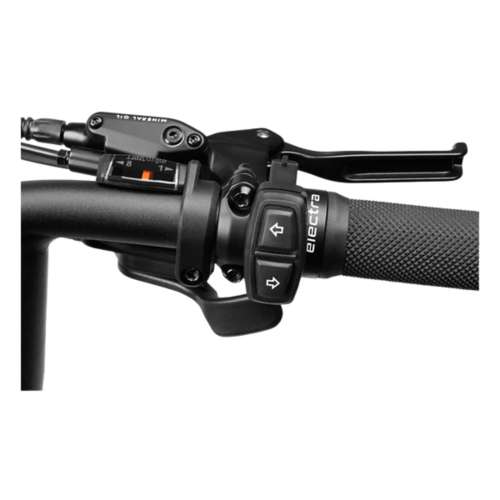 Electra Ponto Go! Electric Bike | SCHEELS.com