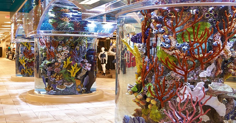 Things to Do at Wichita SCHEELS | SCHEELS.com